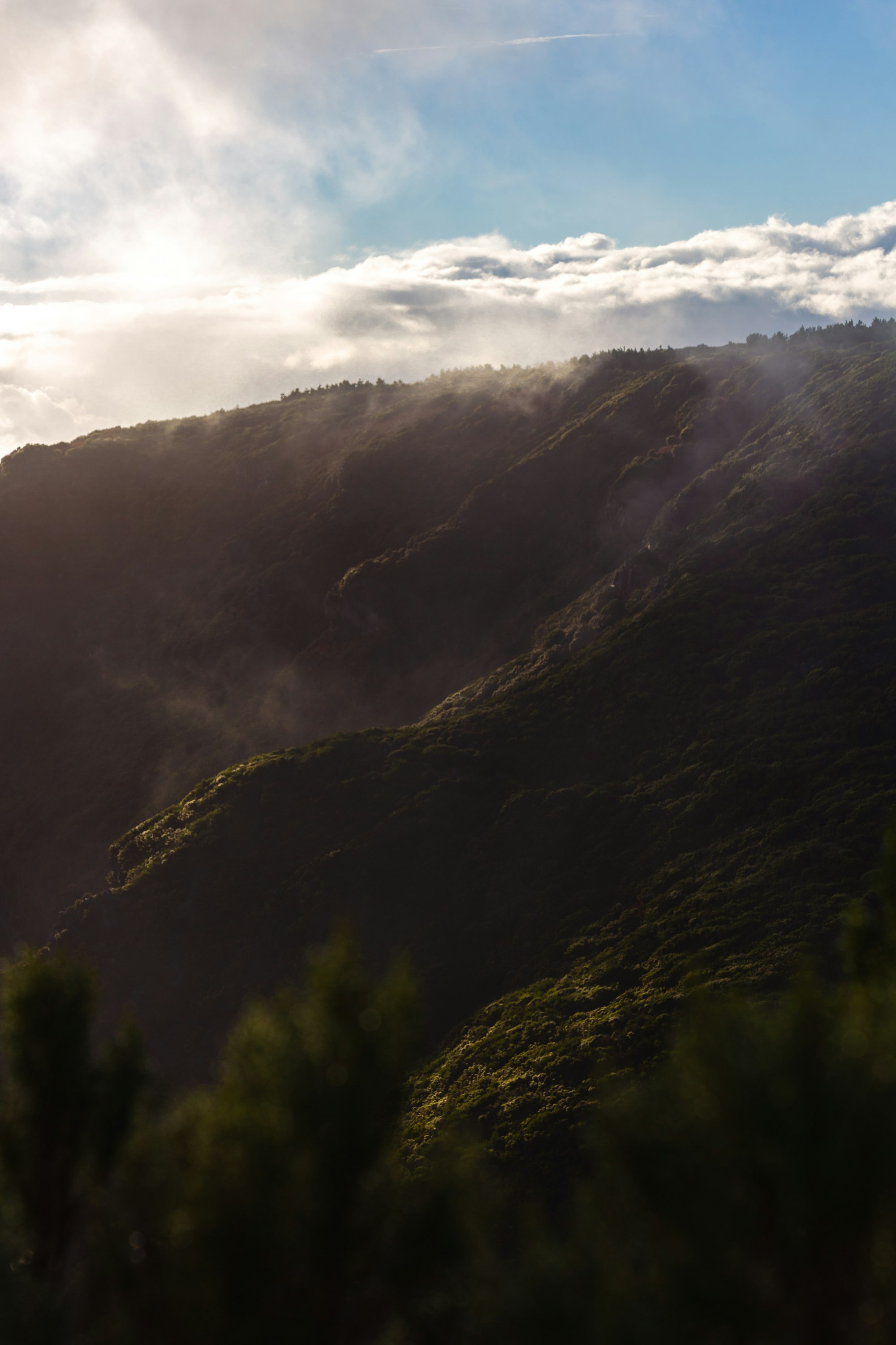 Travel Photography - Madeira - Mat Hayward